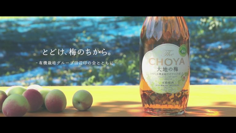酔わないThe CHOYA | CM / MOVIE | チョーヤ梅酒株式会社